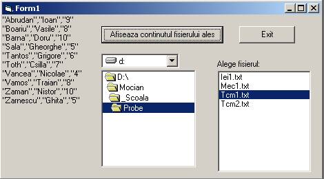 Metode si tehnici de programare in Visual Basic