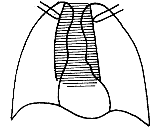 Documente Medicina - gaseste informatii despre terapii sfaturi